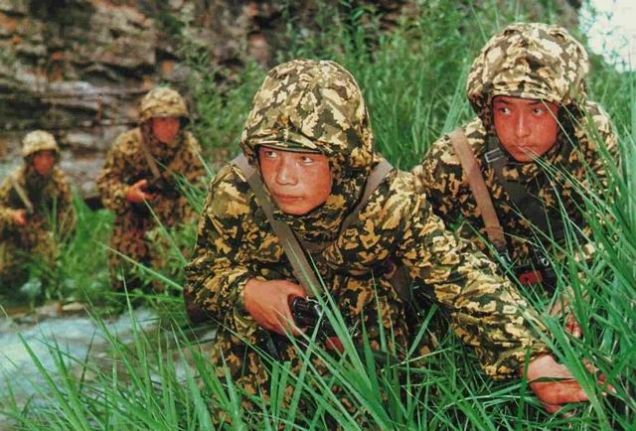 An overview of camouflage patterns used by the Democratic People’s ...